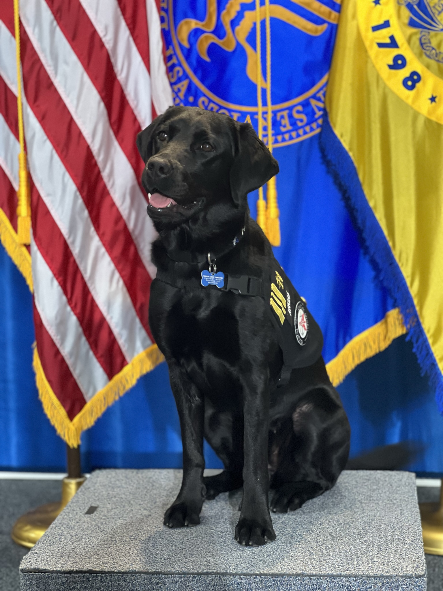 Commissioned Corps Management Information System